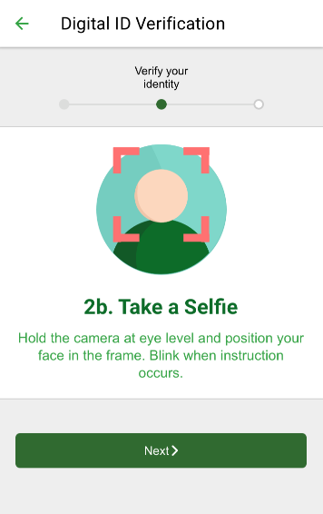 How to complete e-IDV - e-IDV - Online Services - Banking Digitally ...